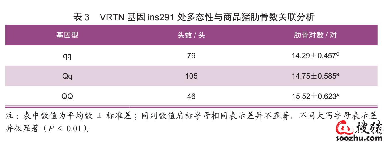 VRTN基因在商品猪群中的遗传效应及其在不同来源种猪群中的频率|其他疾病【搜猪网_生猪预警网】